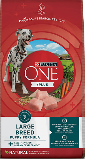 VDH Dogs | Frequently Asked Questions